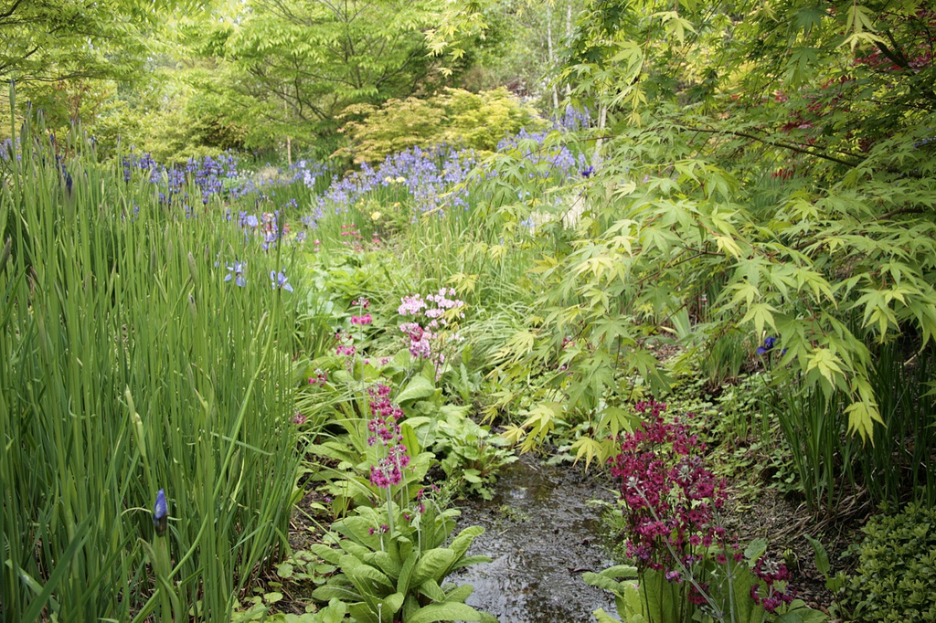 Enhance Your Garden With Storm Water Solutions | Bury Hill Blog