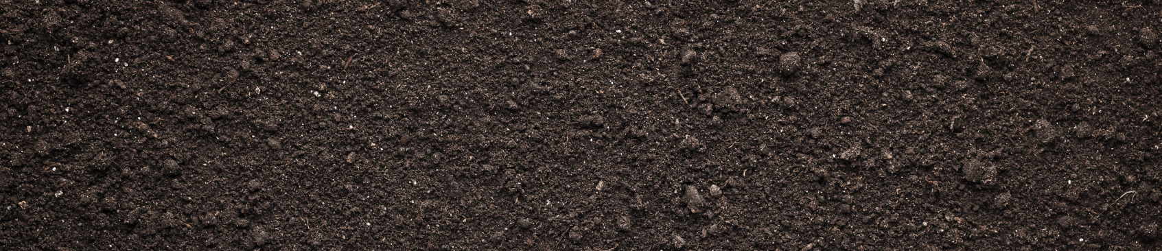 What is Topsoil?| What is Topsoil Used For? | Bury Hill Blog